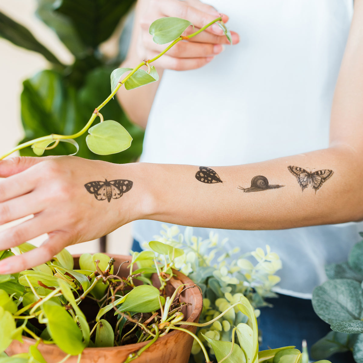 Insects Tattoo Sheet by National Gallery of Art
