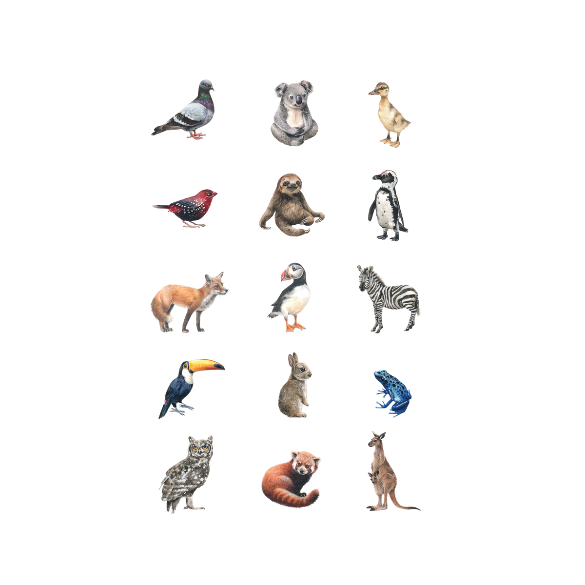 Mini Animal Kingdom by Lorraine Loots from Tattly Temporary Tattoos