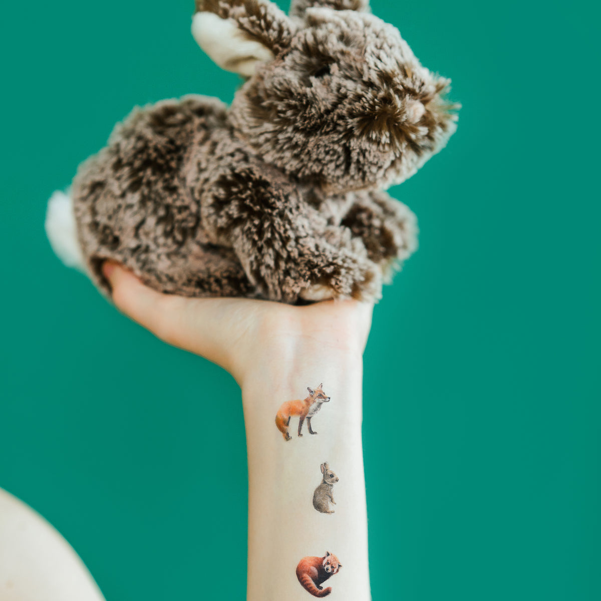 Mini Animal Kingdom by Lorraine Loots from Tattly Temporary Tattoos