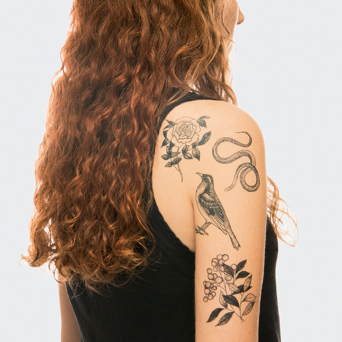 Flora and Fauna Set by Tea Leigh from Tattly Temporary Tattoos