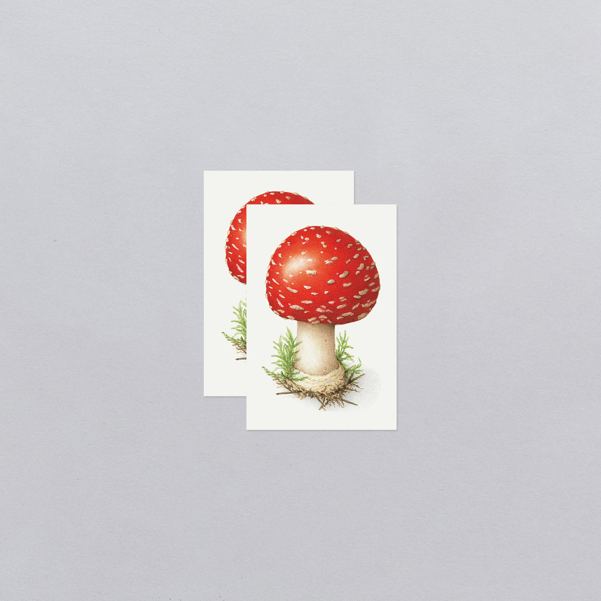 Toadstool by Vincent Jeannerot from Tattly Temporary Tattoos